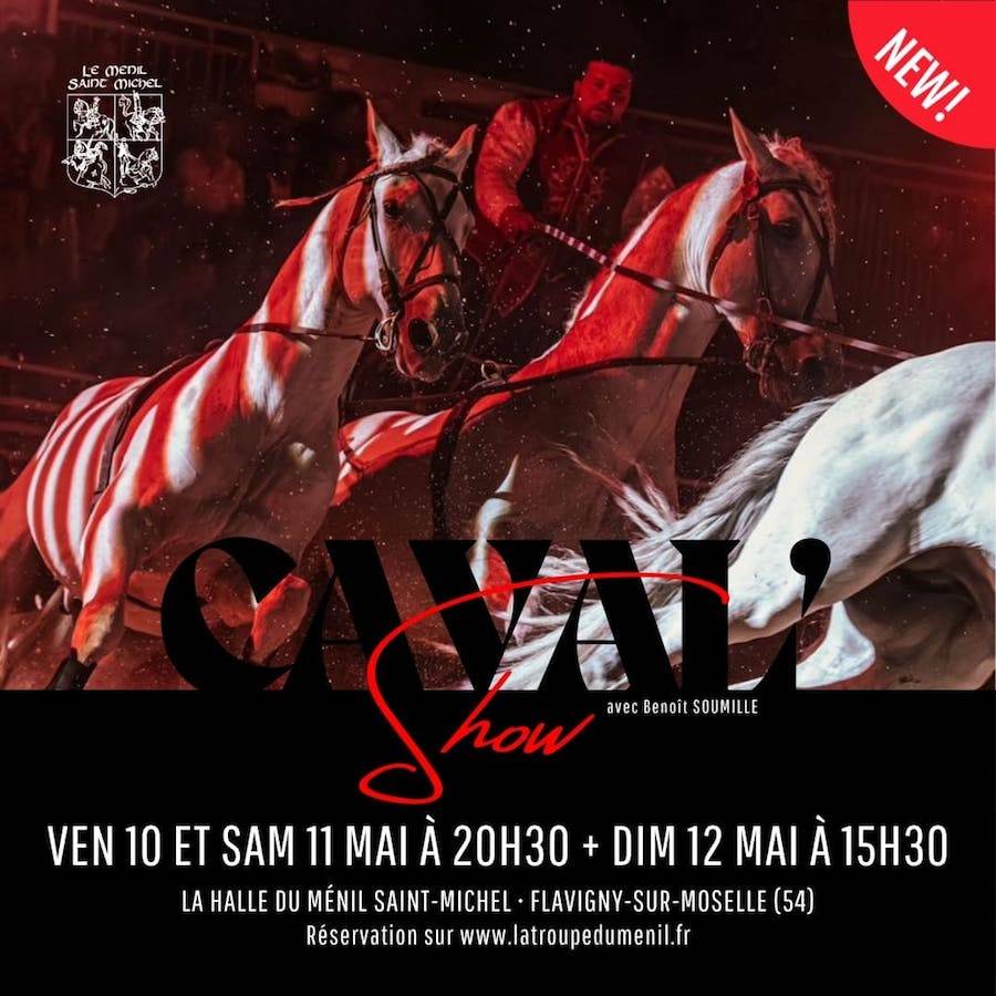 " Caval'Show "-Benoît Soumille à la Halle du Ménil Saint-Michel
